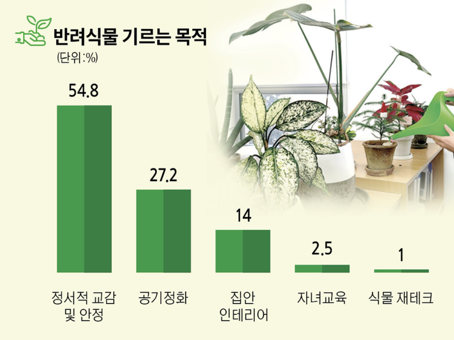 반려식물 기르기 목적 And 기대 효과