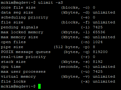 사용중인 프로세스의 fd(File Descriptor) 확인하는 방법