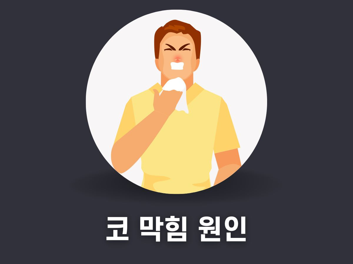 슈다페드정 효능 부작용 졸음 코막힘 빨리 낫는법