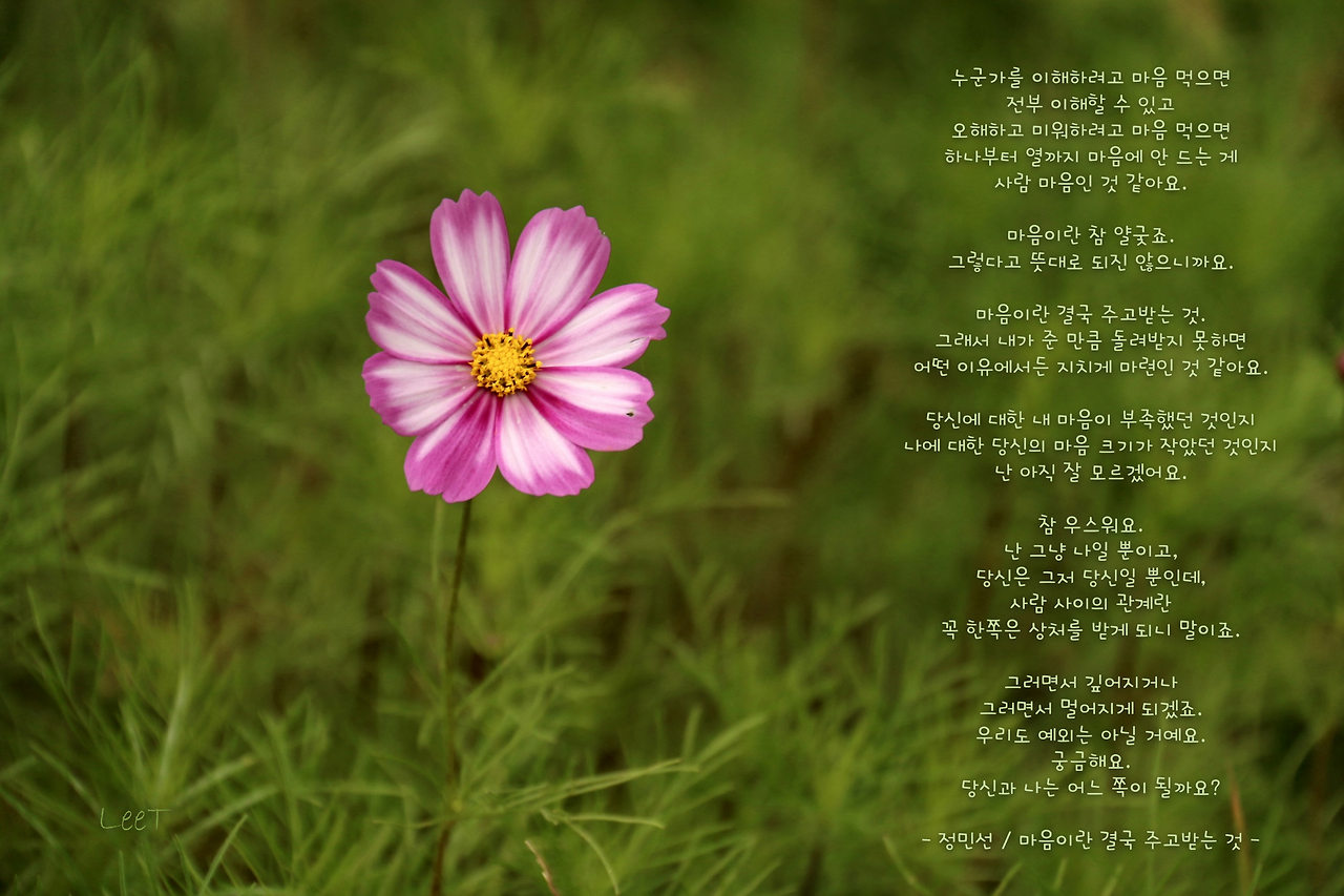 마음이란 결국 주고받는 것 정민선