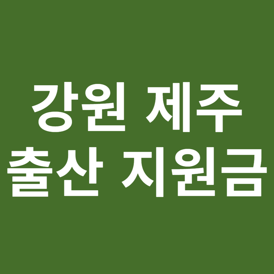 강원 제주 지자체별 출산지원금 주식종목 경제시사 보조금 Oa 노하우 창고