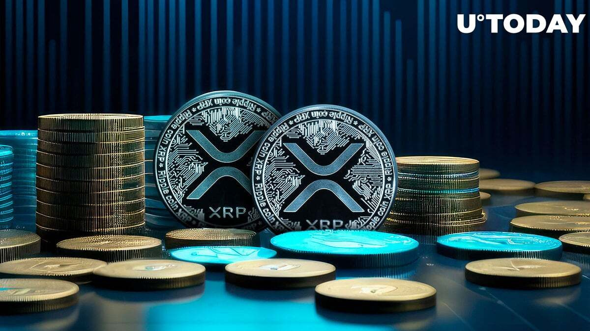 XRP Top Wallet은 판도를 바꾸는 업그레이드로 큰 발전을 이루었습니다: 세부 사항