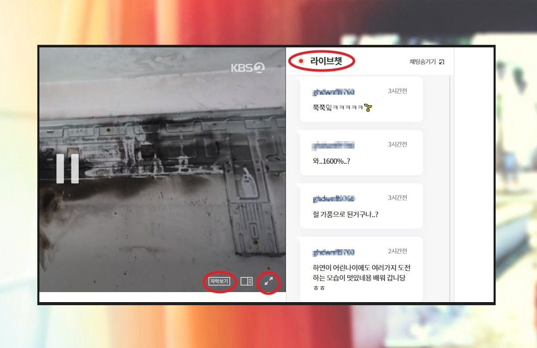 kbs2 실시간 방송보기 안내
