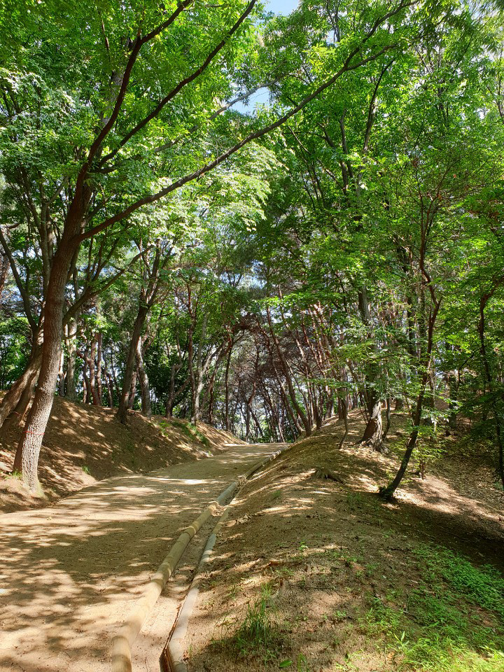 오르필 서방정 부작용 주의사항
