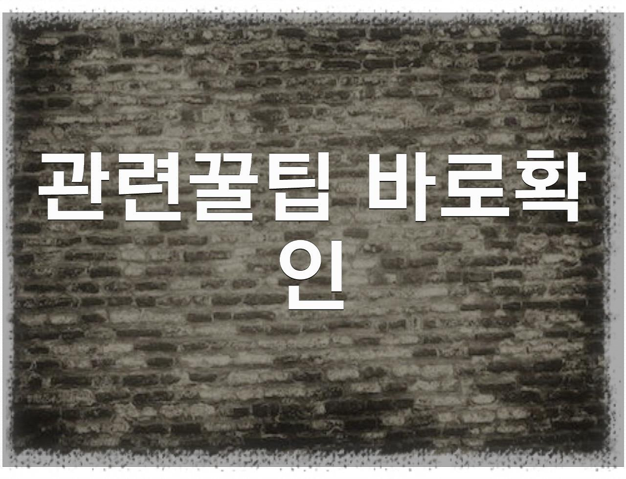 중학생 여드름 이제는 끝 완벽 정복 가이드