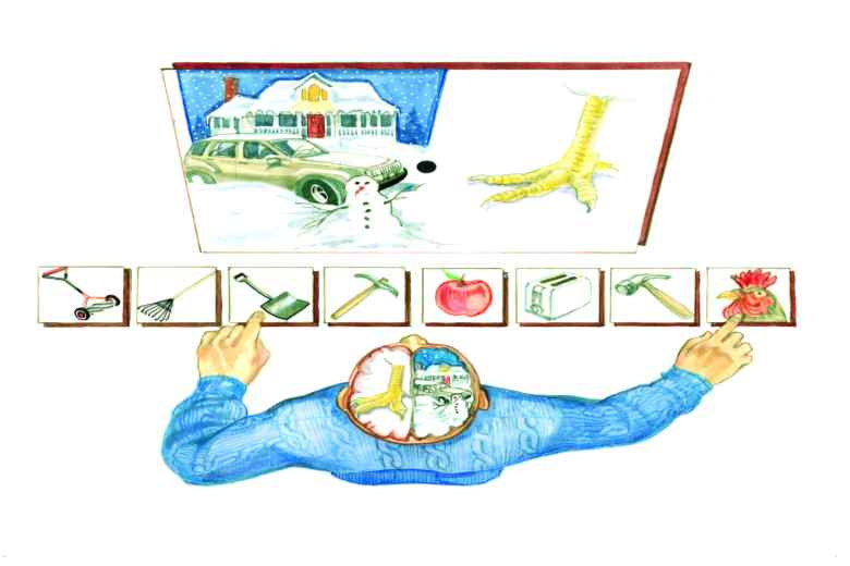 심리학과 임상심리사 정신건강 등 심리학개론 이론 정리 5 신경계와 뇌의 주요영역
