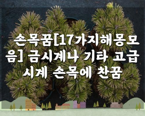 손목꿈 17가지해몽모음 금시계나 기타 고급시계 손목에 찬꿈