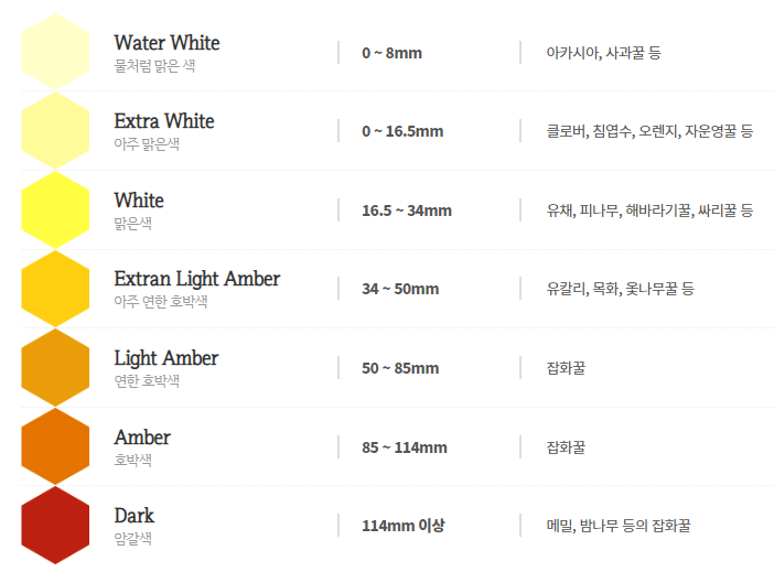 진짜꿀과 가짜꿀사양꿀 10초 만에 구분하는 방법