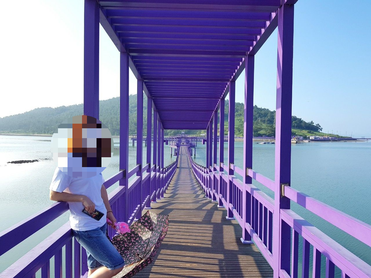 전남 신안군 퍼플섬 반월도와 박지도 퍼플교 입장료 및 무료입장 방법 주차정보
