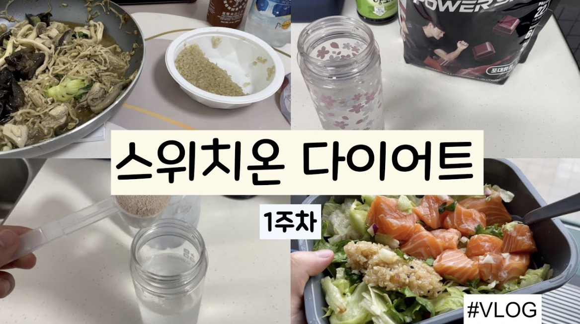 스위치온 다이어트 식단 및 방법 효과 총정리