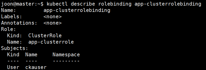 CKA 준비 (26) User Cluster Role Binding