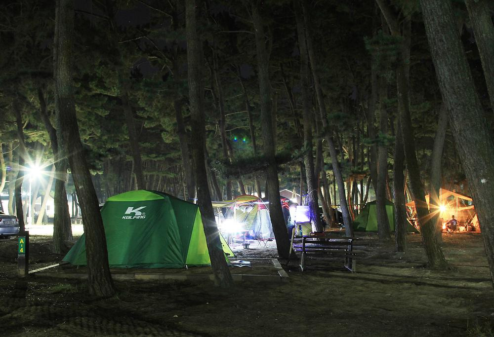 국립공원 몽산포 자동차야영장 장단점과 이용 및 예약 방법오토캠핑장