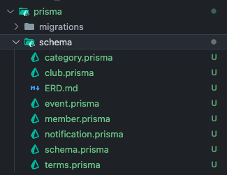 [ORM] Prisma Multiple Schema File