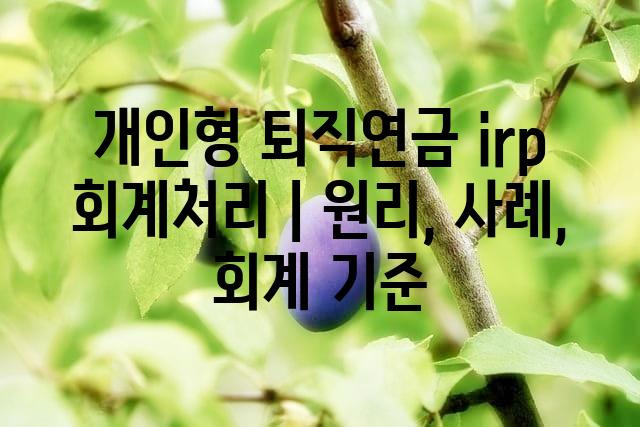 개인형 퇴직연금 Irp 회계처리 원리 사례 회계 기준