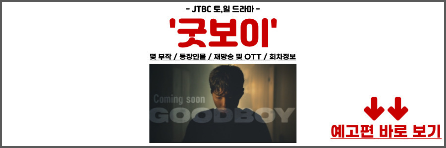 굿보이 드라마 OTT, 몇부작, 등장인물(출연진), 줄거리 및 회차 정보 총정리(박보검, 김소현 주연 JTBC 토일드라마)