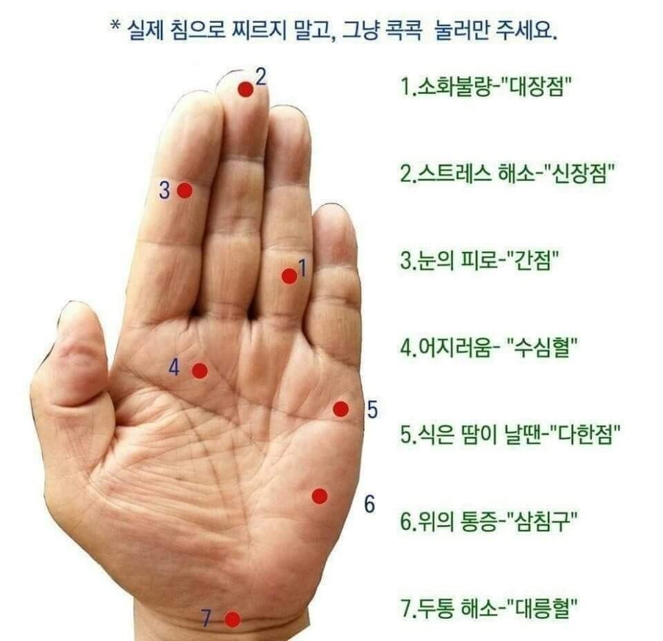 소화불량 스트레스 눈의 피로 식은땀 위의통증 두통 혈