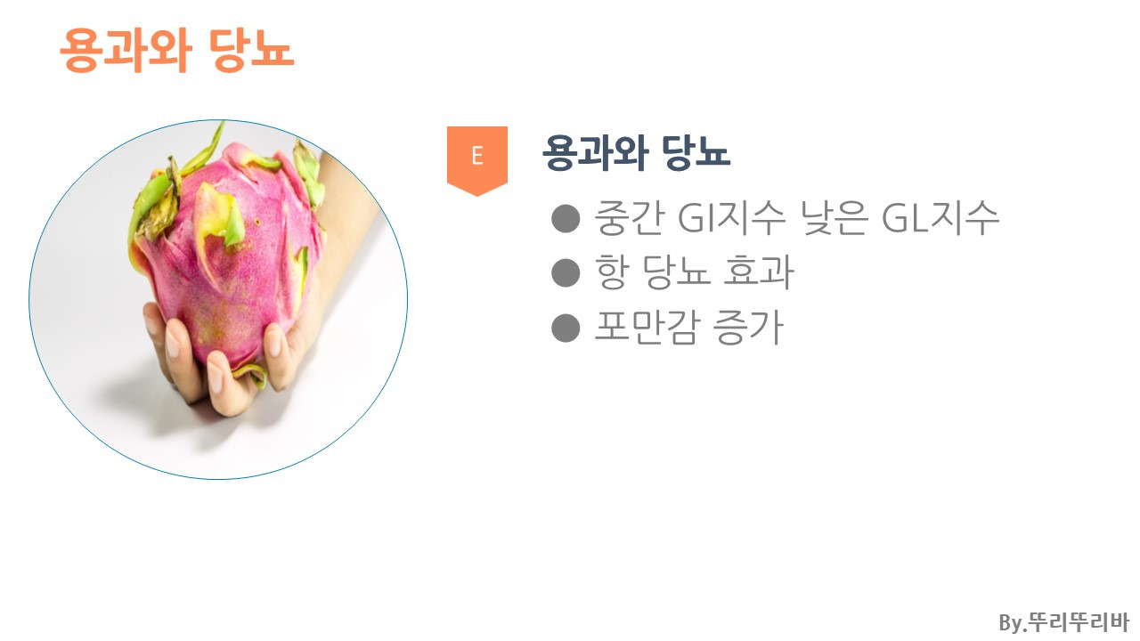 용과 당뇨 혈당지수당지수 Gi지수 Gl 효능 효과