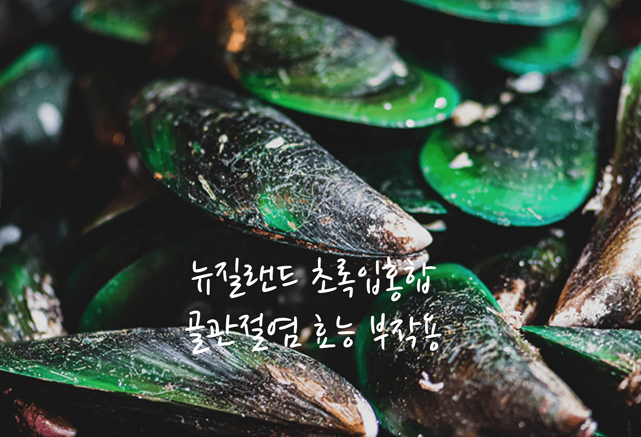 뉴질랜드 초록입홍합 골관절염 효능 부작용