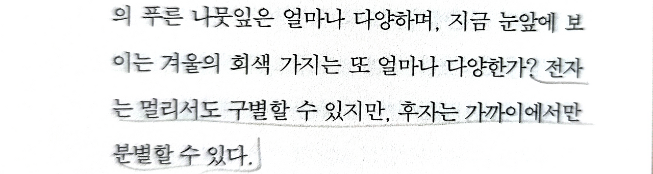 페터 한트케 중편소설 「어느 작가의 오후」를 읽고