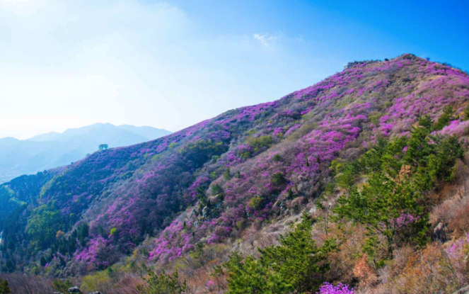 삼천포 제주도 배편 여객선 시간표 요금 차량선적 등 3분 총정리