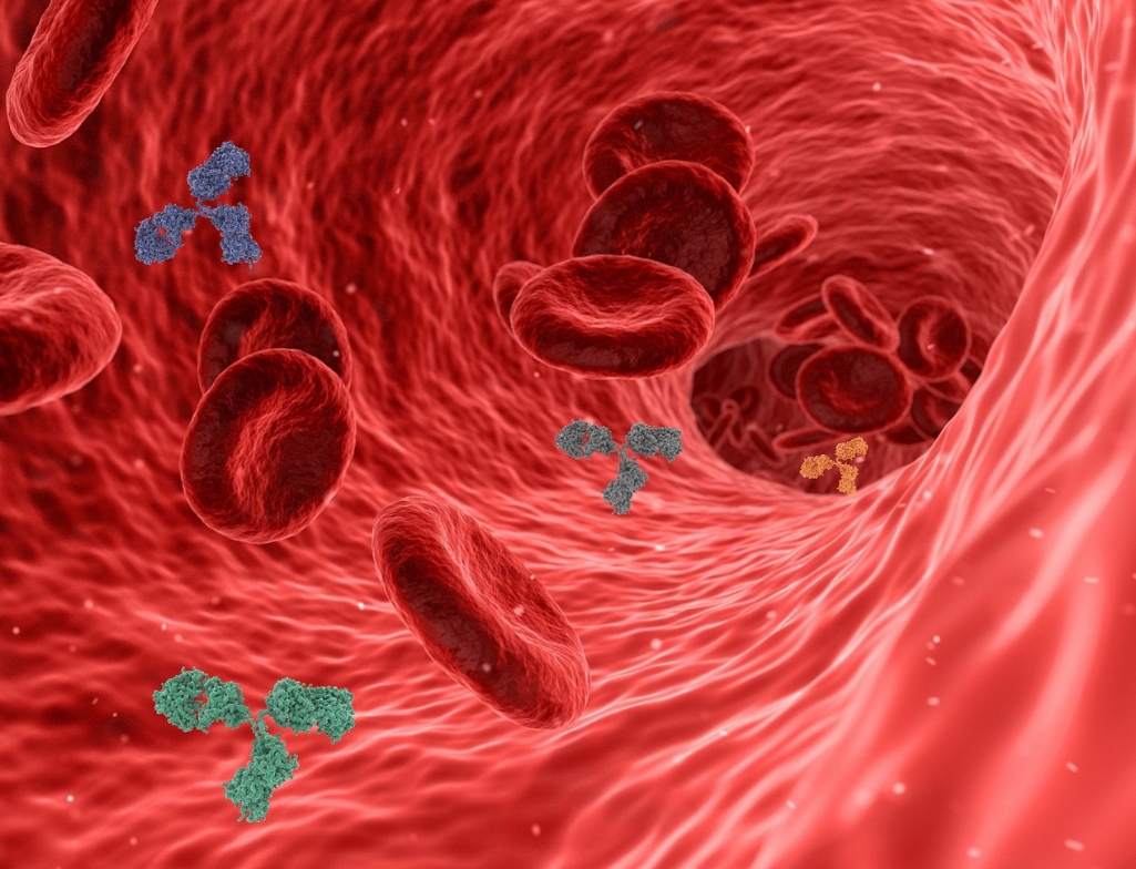 Hdl · Ldl 콜레스테롤 차이와 정상 수치 설명