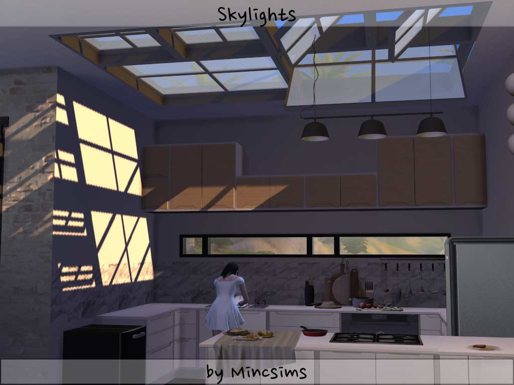 Skylights — MINCSIMS