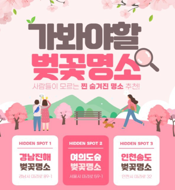 벚꽃 명소 벛꽃개화시기 알아보기