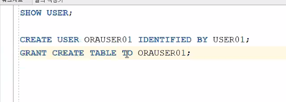 데이터베이스 보안 / SQL / 오라클