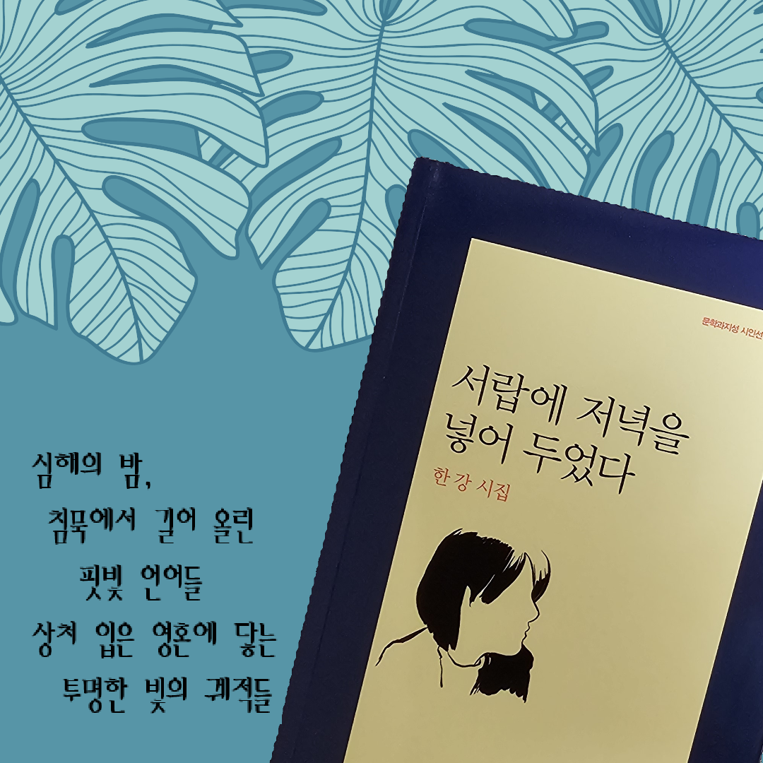 한강 시집 『서랍에 저녁을 넣어 두었다』 고요한 새벽부터 어둠 속 불빛까지 한강의 서랍 속 이야기