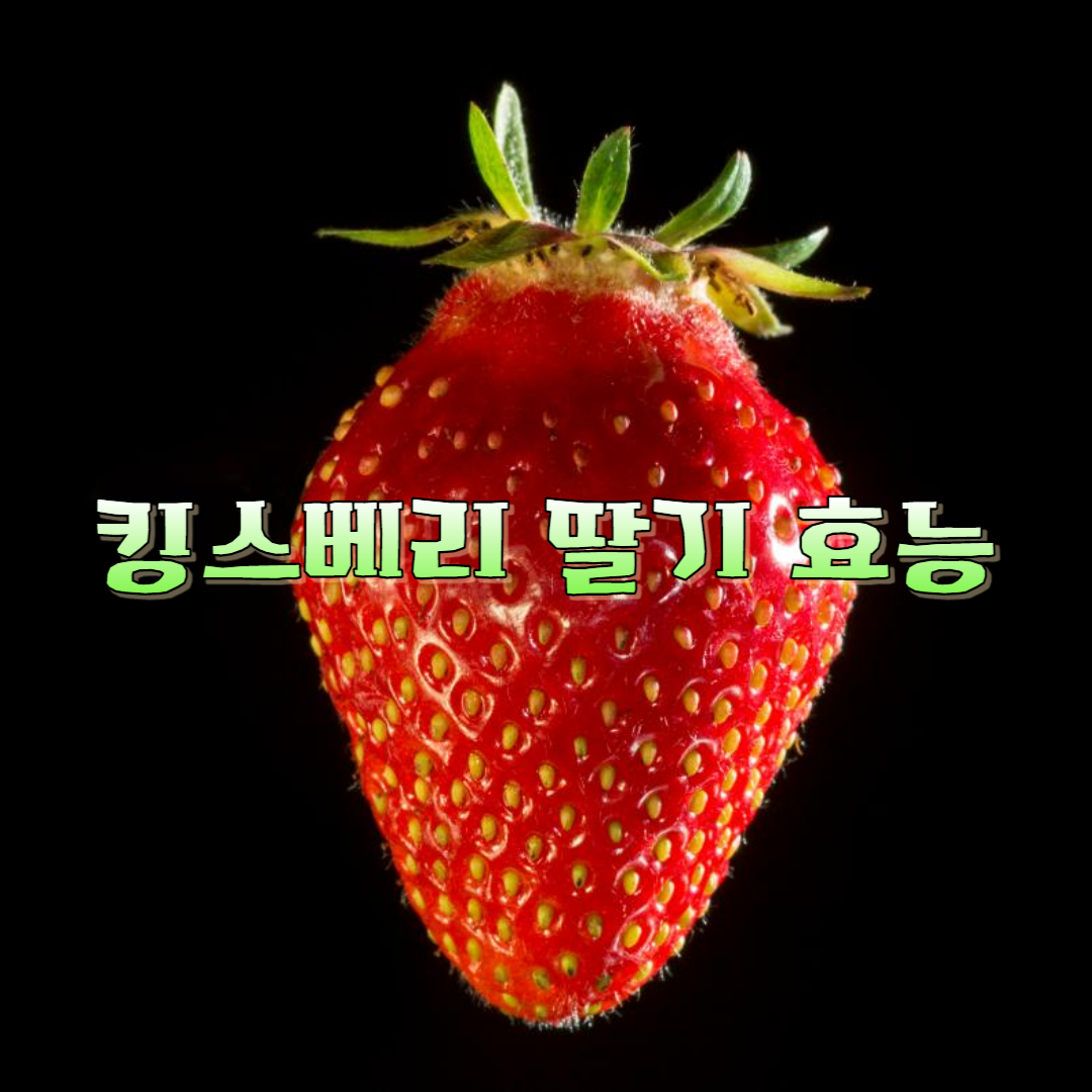 킹스베리 딸기 효능 부작용