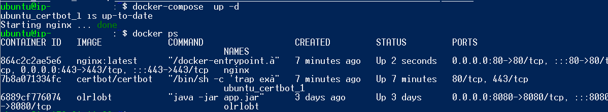 [INFRA] Docker에서 Nginx 컨테이너 실행과 https 설정하기