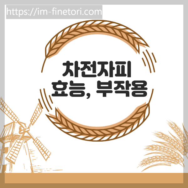 차전자피 효능 및 부작용 먹는 방법 먹으면 안되는 사람