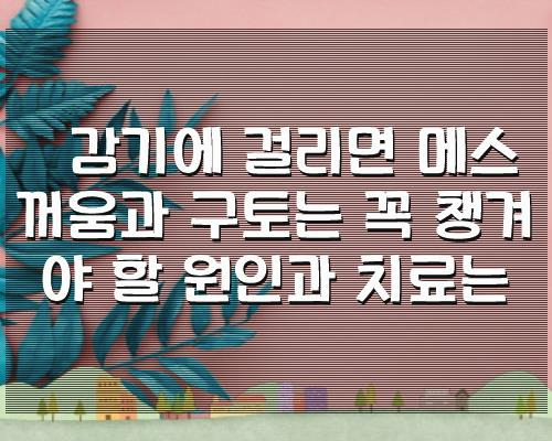 감기에 걸리면 메스꺼움과 구토는 꼭 챙겨야 할 원인과 치료는