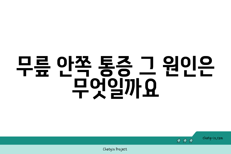 무릎 안쪽 통증 완벽 가이드 원인 증상 치료 및 예방법까지 알려드려요