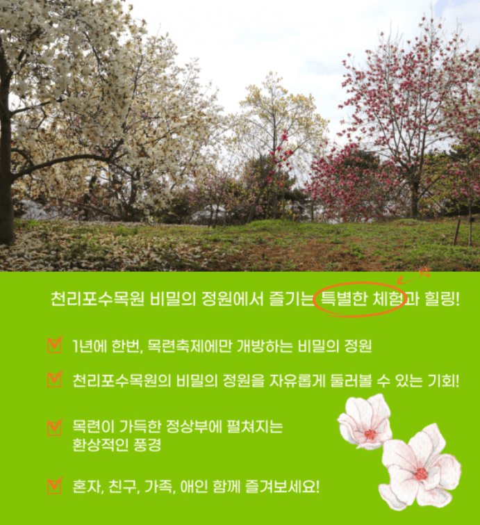 천리포수목원 목련축제 기본정보feat목련꽃 필 무렵
