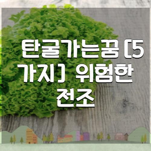 탄굴가는꿈 5가지 위험한 전조