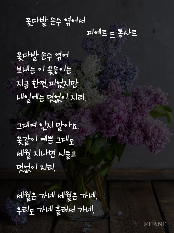 꽃다발 손수 엮어서 피에르 드 롱사르 해설 예쁜 사랑도 세월을 타고 흘러
