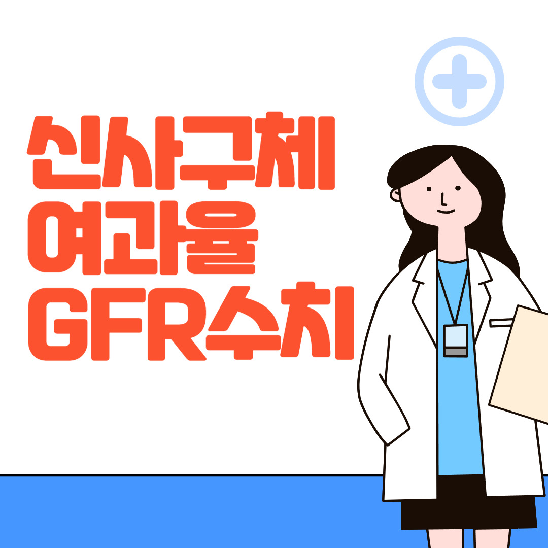 신사구체여과율gfr수치란 정상범위는 무엇일까 이상수치 신장기능 피검사 수치