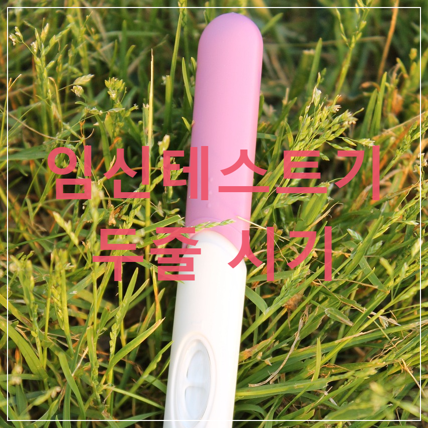 임신초기 임테기 두줄 아기집 보이는 시기