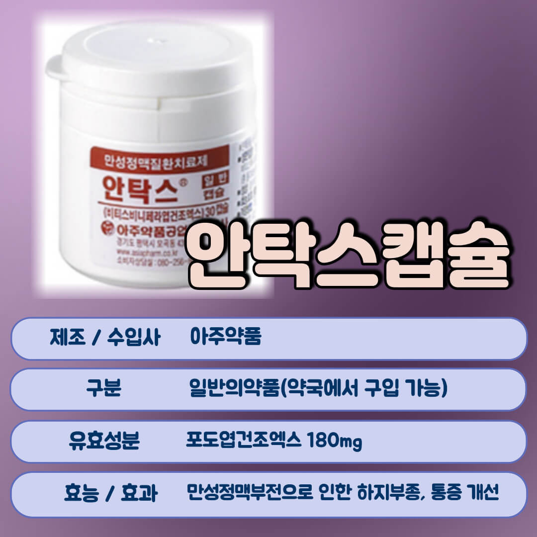 안탁스캡슐 효능 가격 부작용 정맥순환개선제