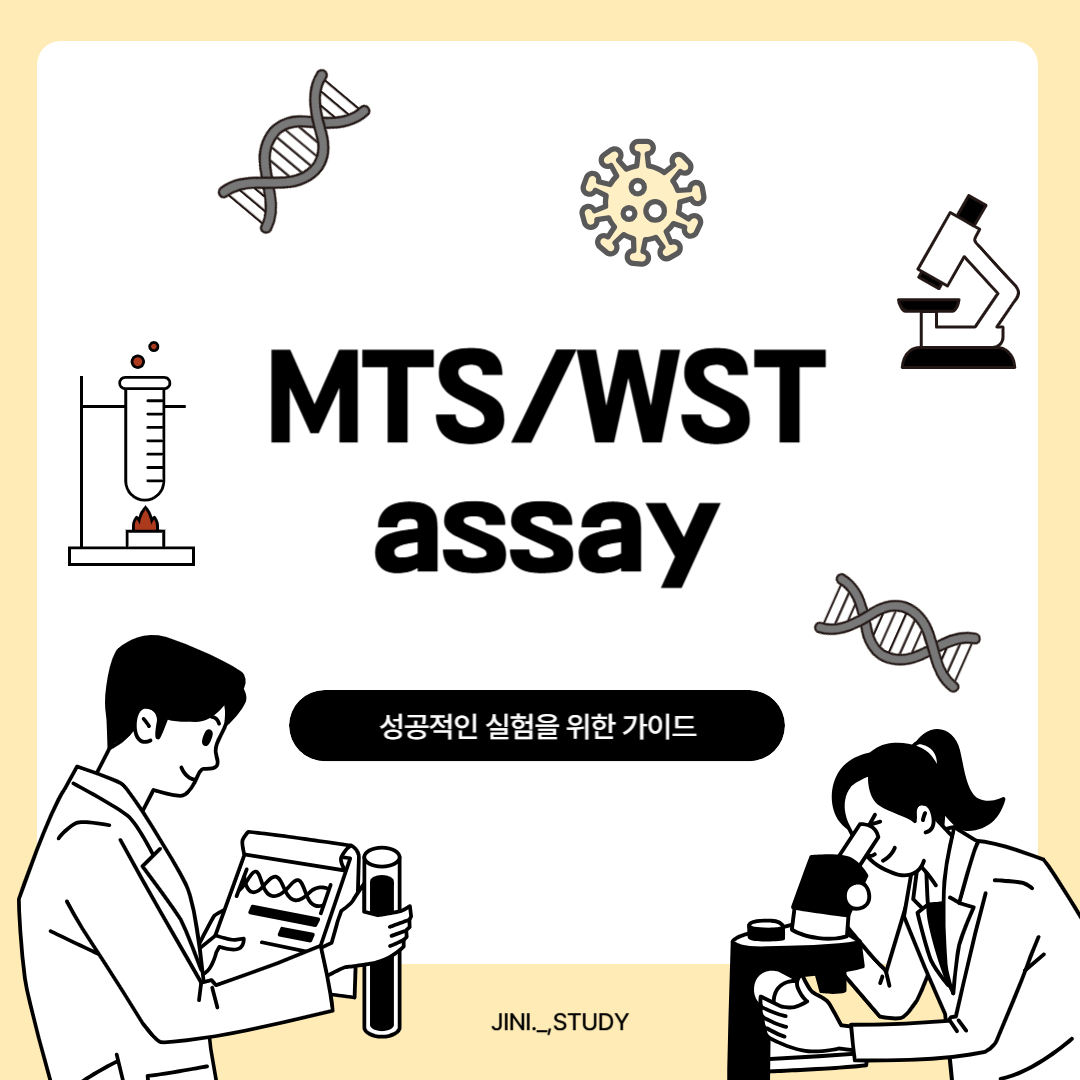 🔬MTS/WST assay