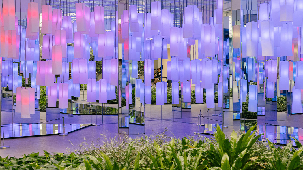 감각을 깨우는 한여름 밤의 꿈, LIGHT HAUS