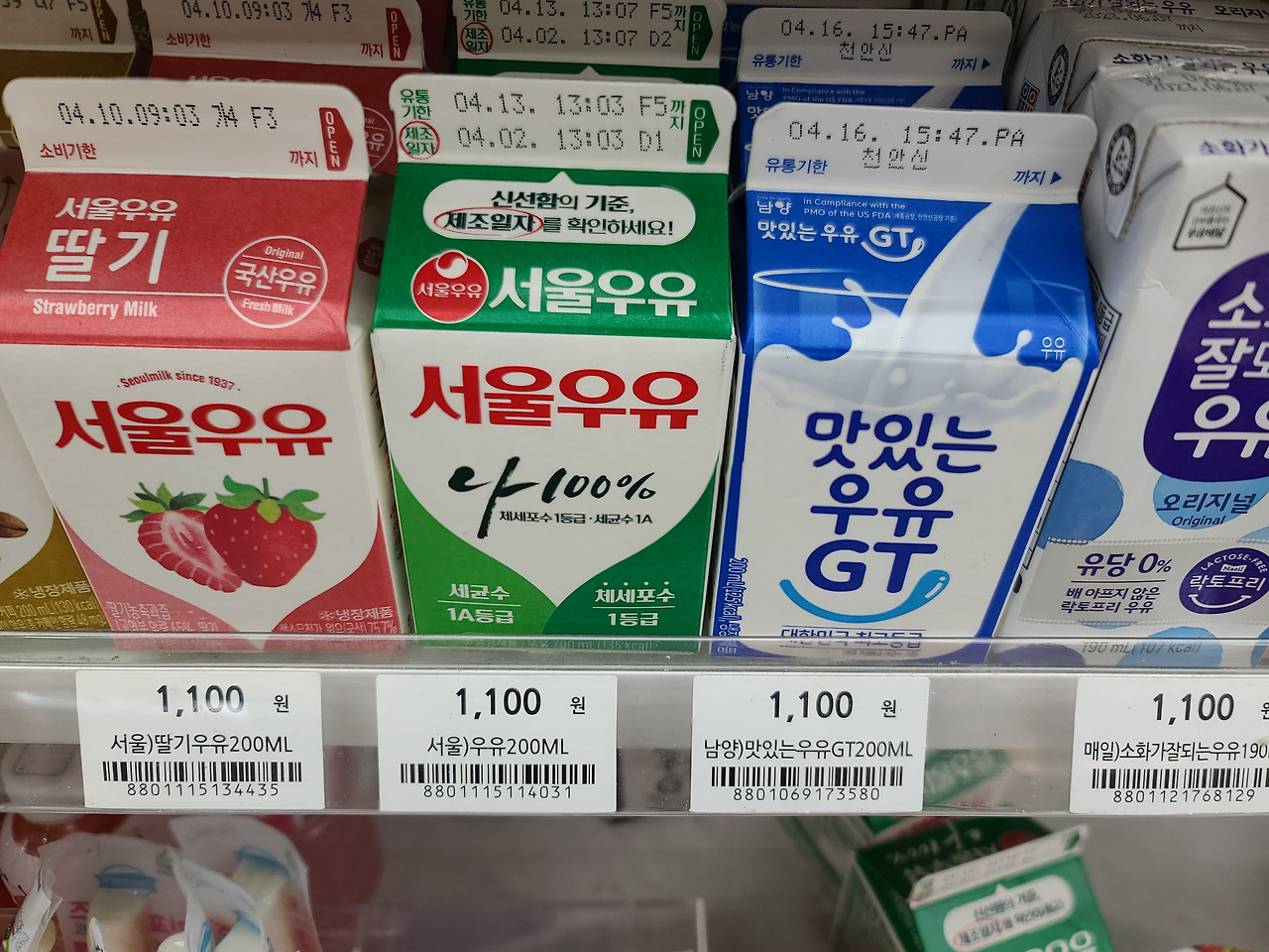 편의점 우유 가격 총정리 (직접 발로 뛰며 조사했습니다)