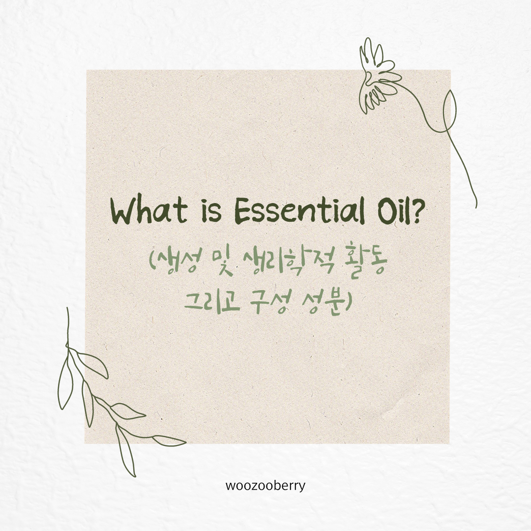 에센셜 오일에 대한 이해1 생성 및 생리학적 활동 그리고 구성 성분
