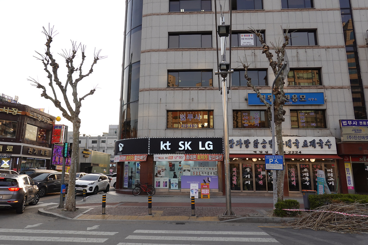 20210331 안양 인덕원 횡단보도앞 가로수는 왜 강전정을 당했을까