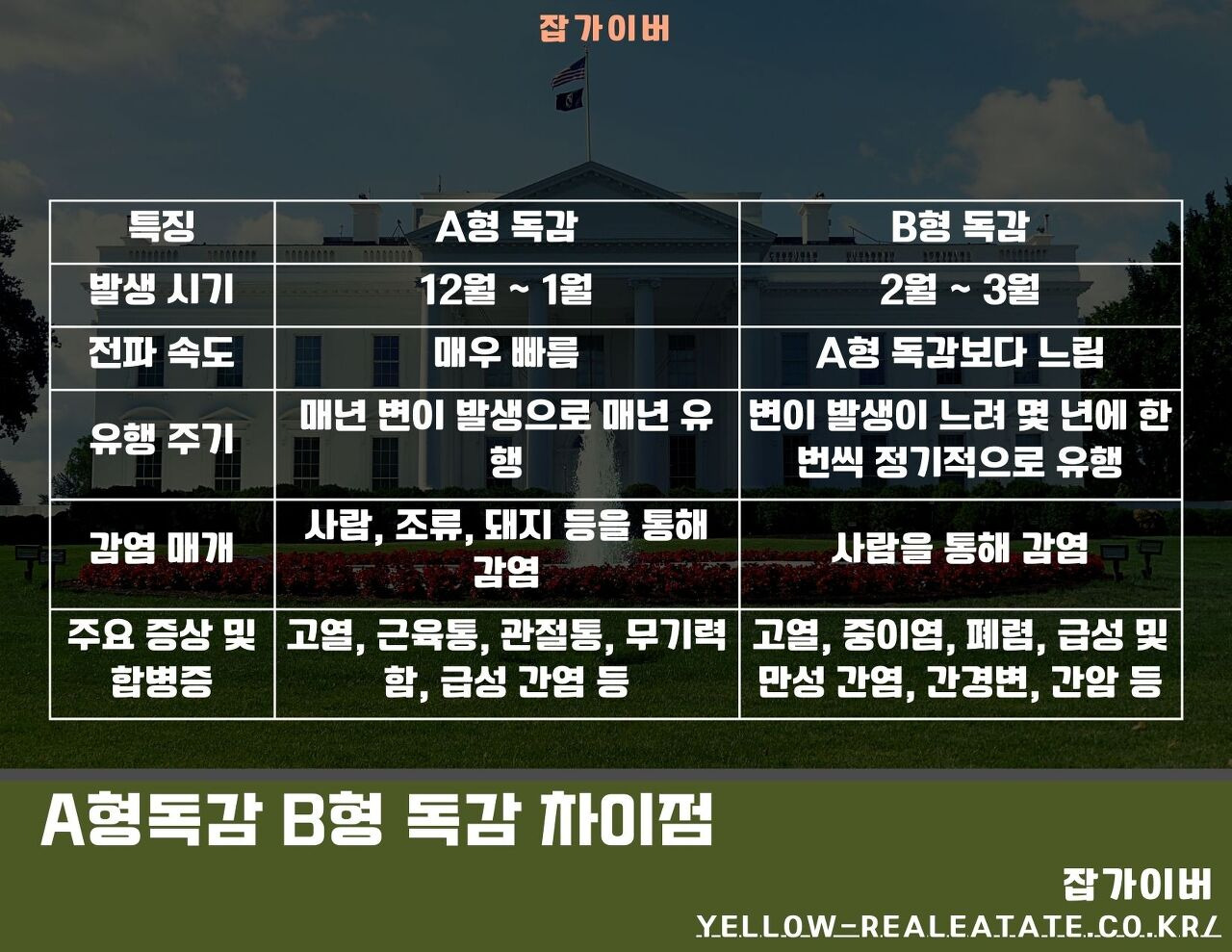 감기 독감 차이점 및 증상 목아픔 구토 메스꺼움 무기력증 예방 치료