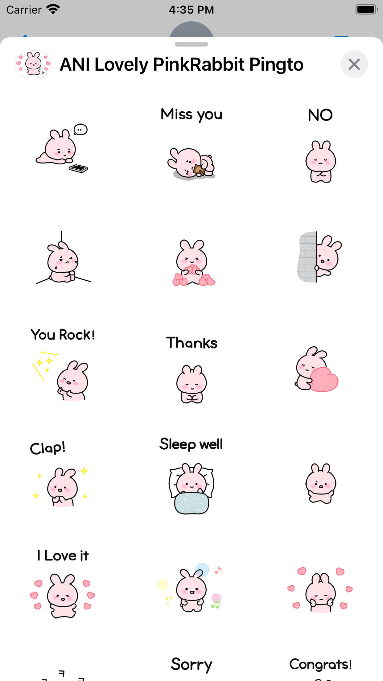 [Sticker] ANI Lovely PinkRabbit Pingto