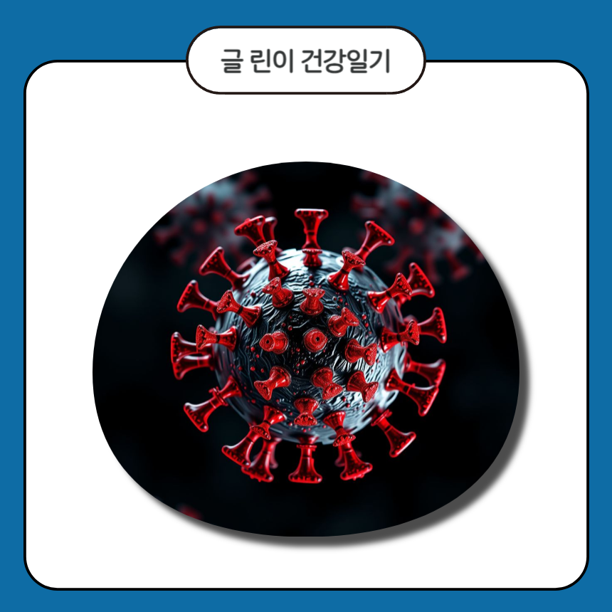 에볼라 바이러스 총 정리