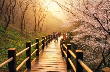 지리산 둘레길 정리: 구간별 코스, 추천 일정, 준비물까지 알아보기